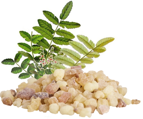 Hydrolater blomstervann | Telemark Urtebrænderi faghandel for Naturterapi